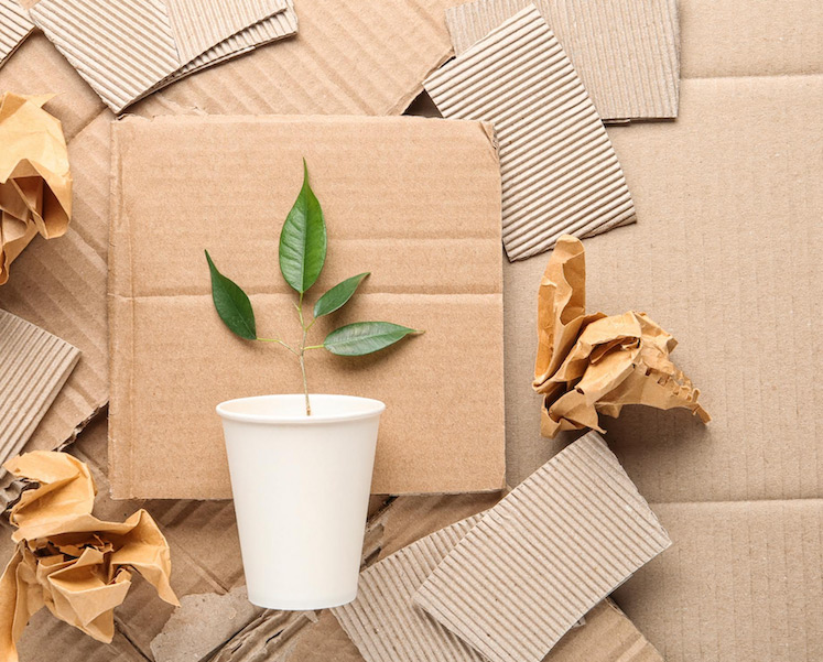 SupplyOne Commits to Packaging Sustainability | Industry Today