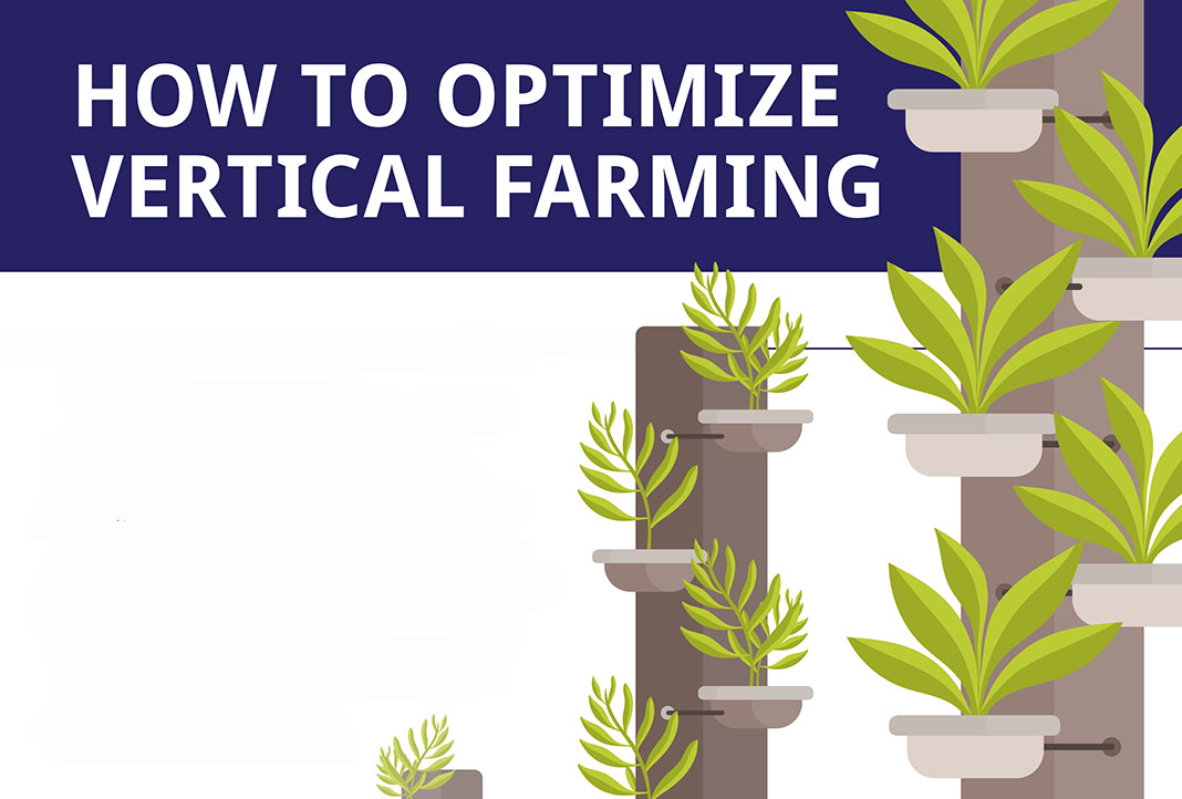 How To Optimize Vertical Farming - Industry Today - Leader in ...
